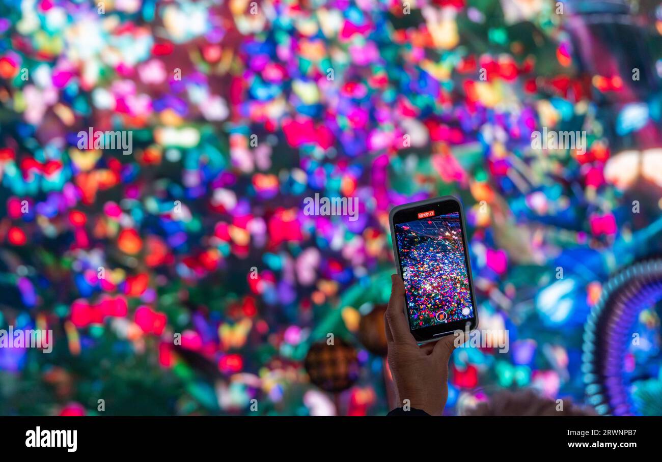 A visitor takes pictures at the "The Butterfly Trail" event. Outernet ...
