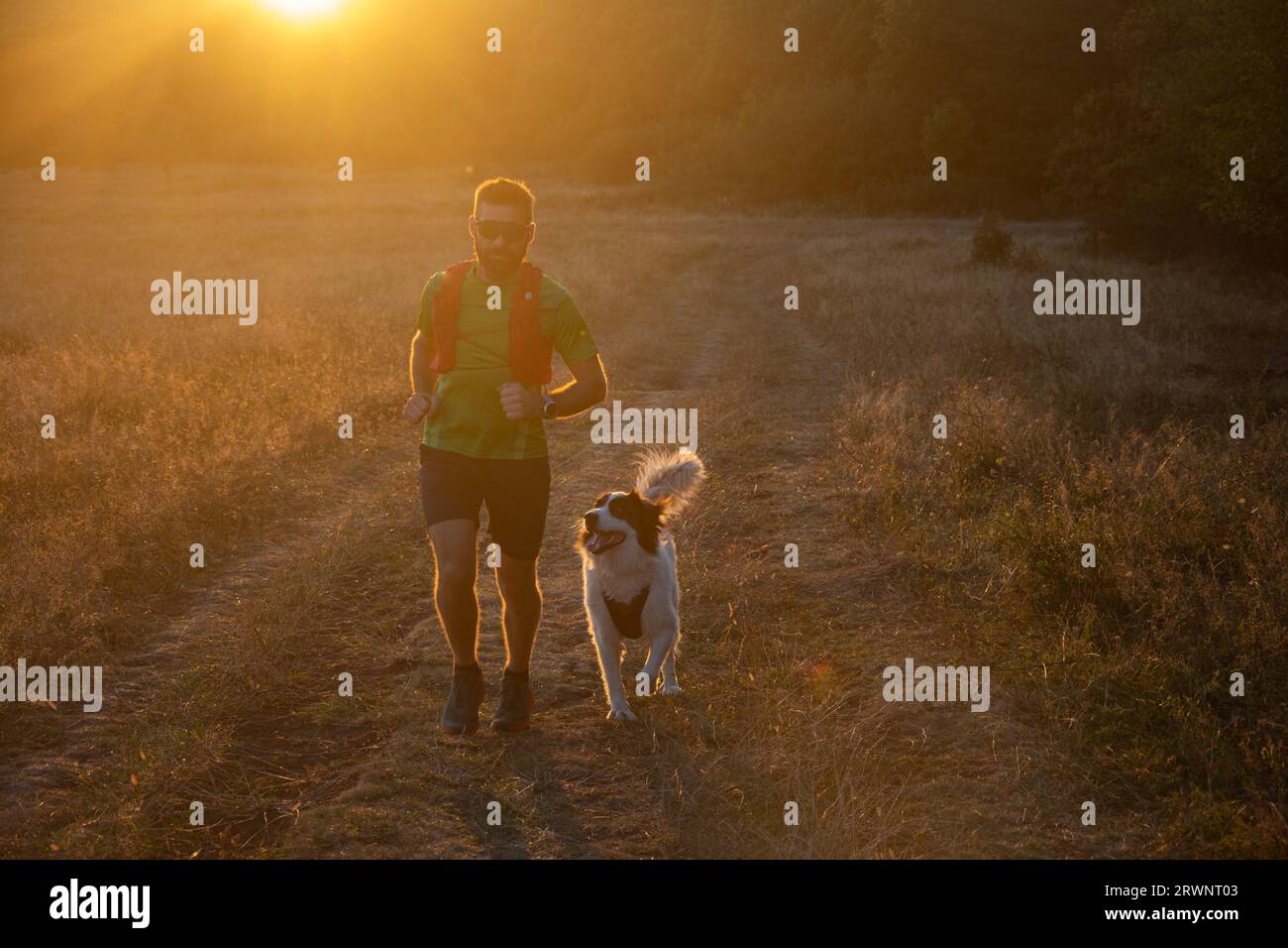 Dog running across field people hi-res stock photography and images - Alamy
