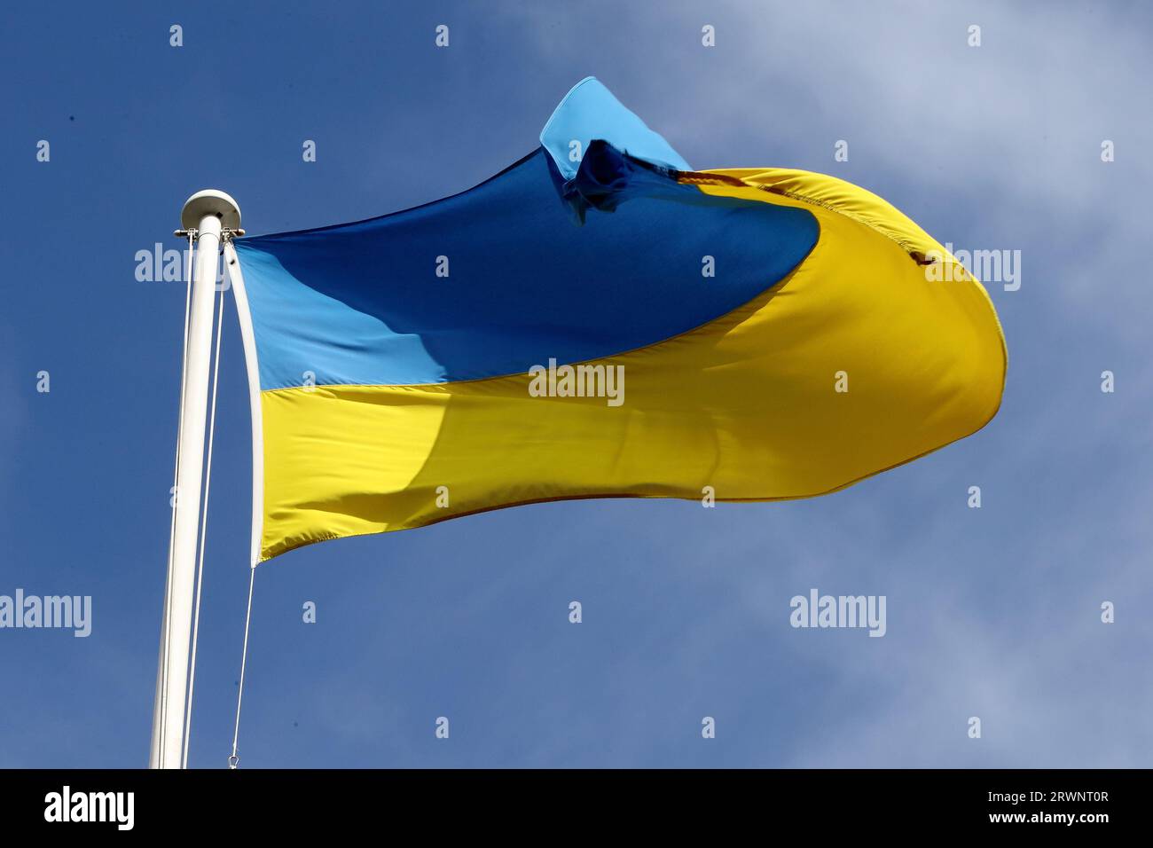 Ukrainian flag flying over Downing Street No 10, London, UK Stock Photo ...
