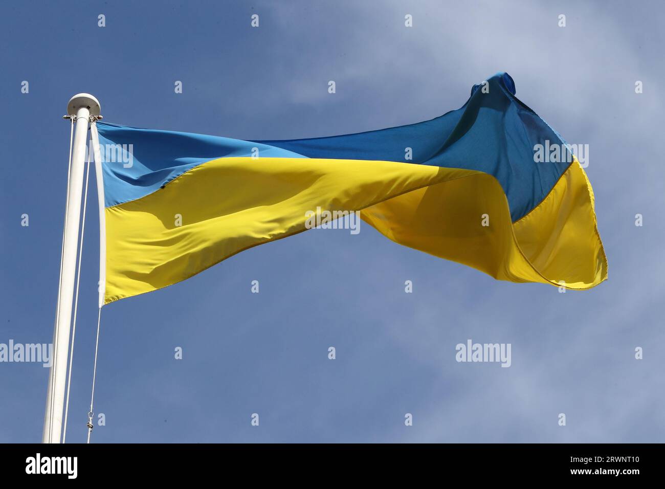 Ukrainian flag flying over Downing Street No 10, London, UK Stock Photo ...
