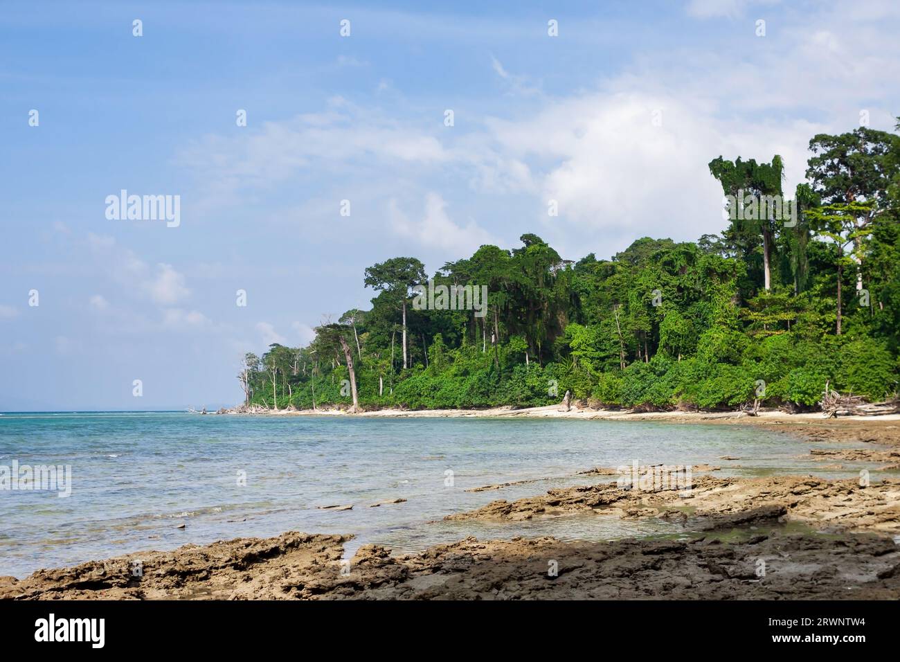 Coast at Havelock Island, Andamans, India. Green lush tropical forest ...