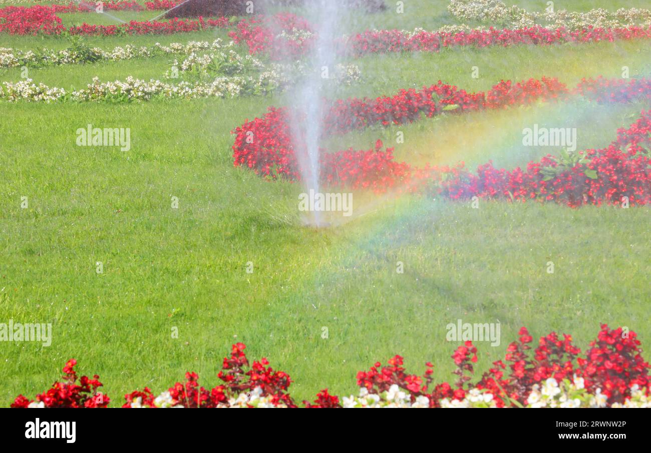 garden with varieties of blooming flowers in the villa and the rainbow ...