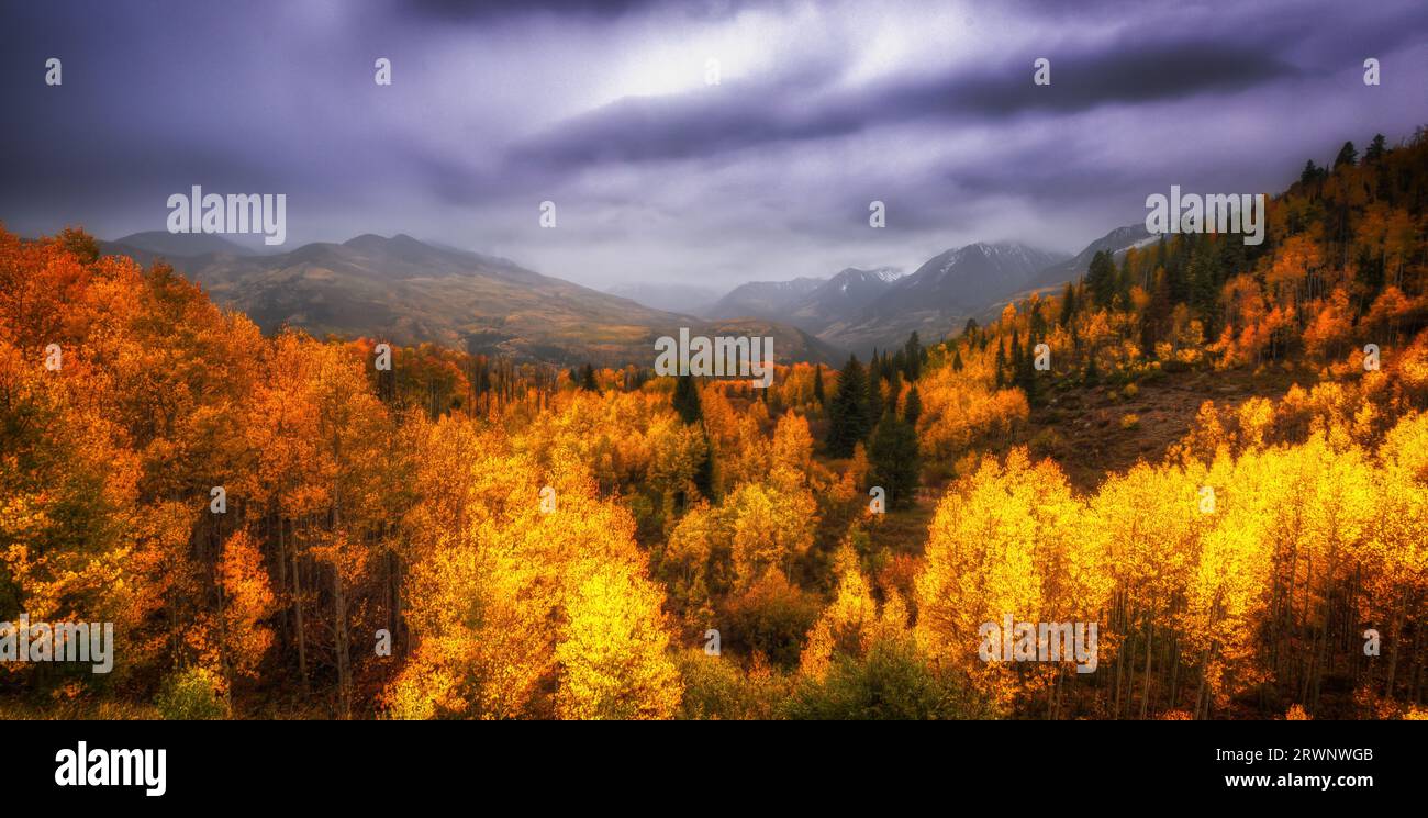 A picturesque landscape featuring a cluster of autumn trees in a ...