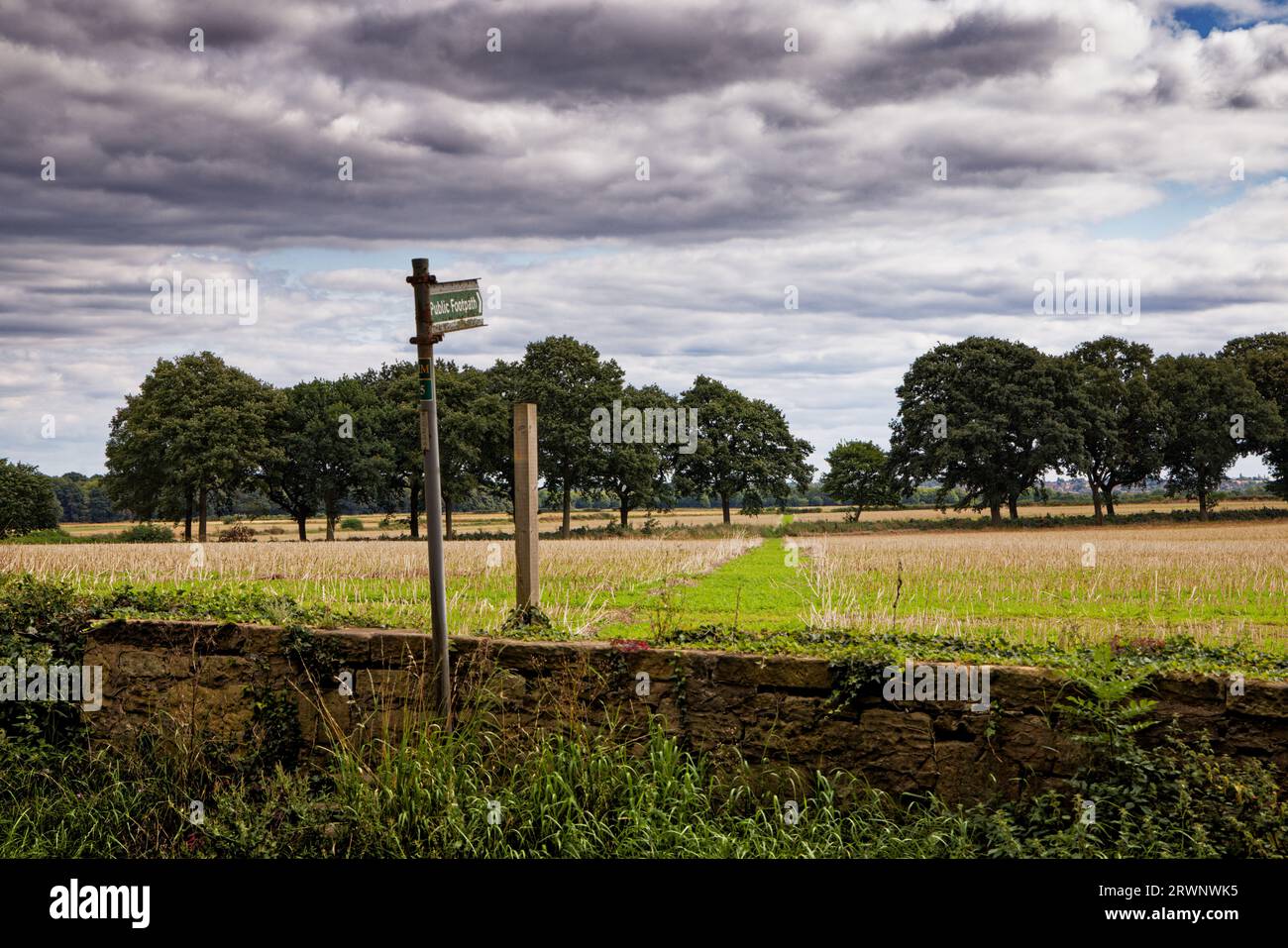 Field path at High Melton Stock Photo - Alamy