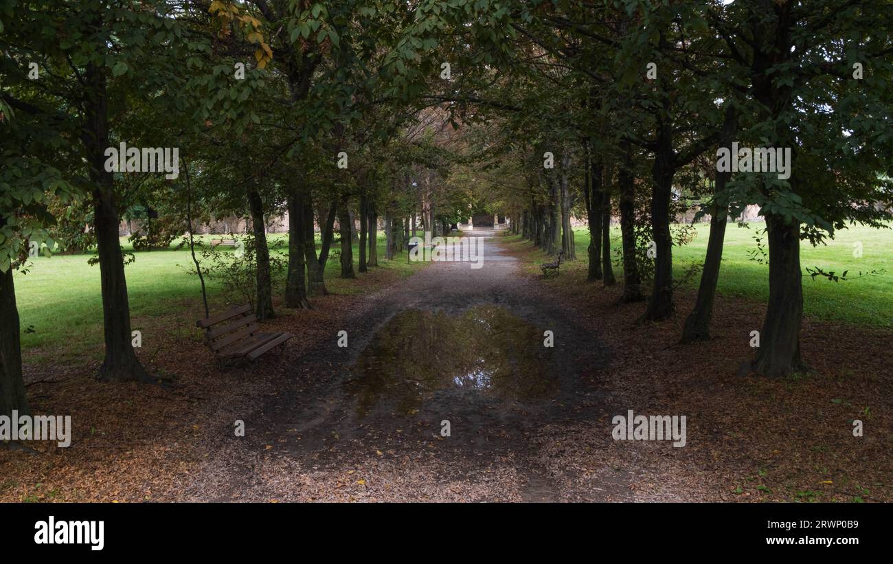 Moss water puddle pond hi-res stock photography and images - Alamy