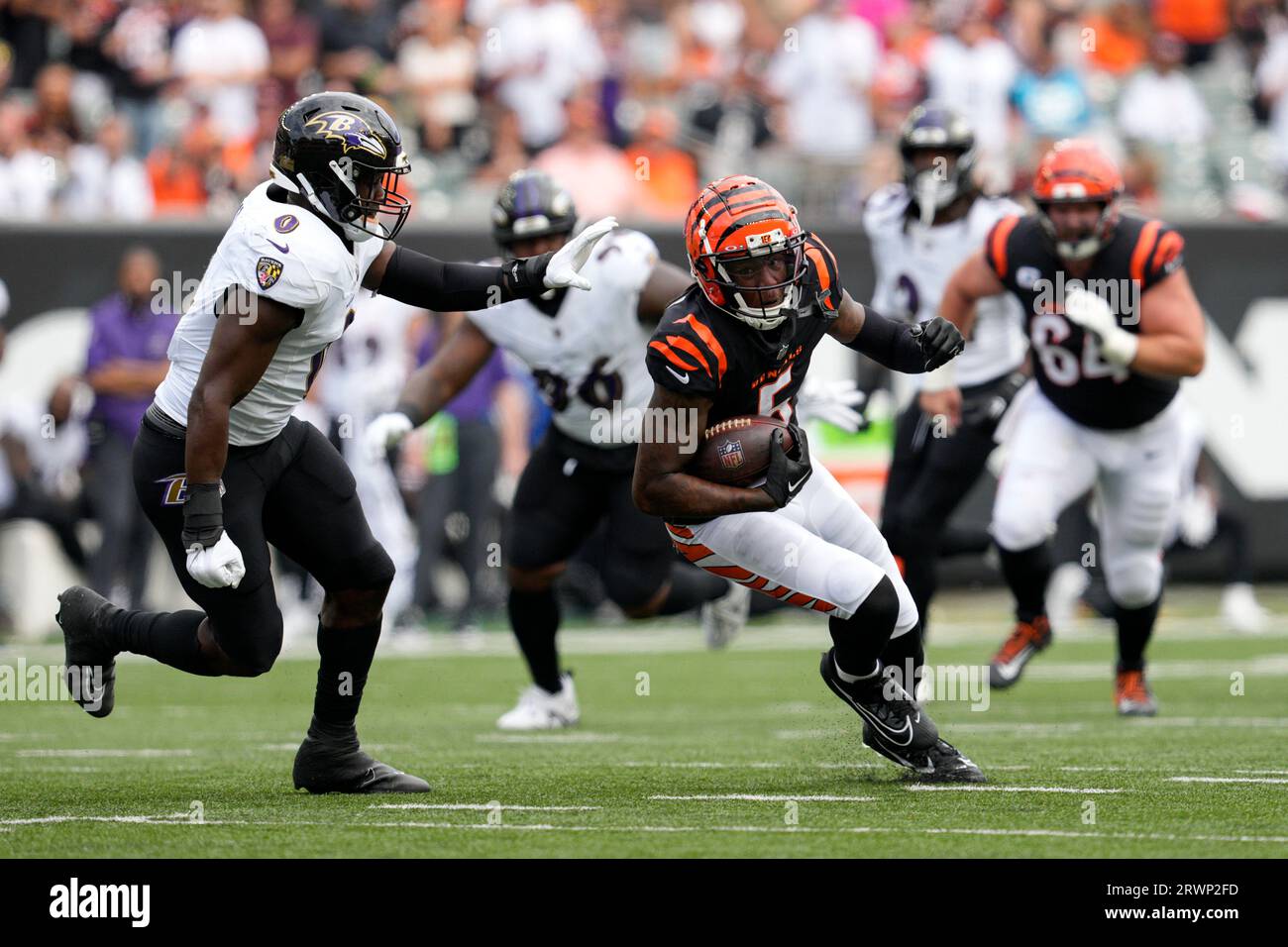 Cincinnati Bengals wide receiver Tee Higgins (5) makes a catch against ...