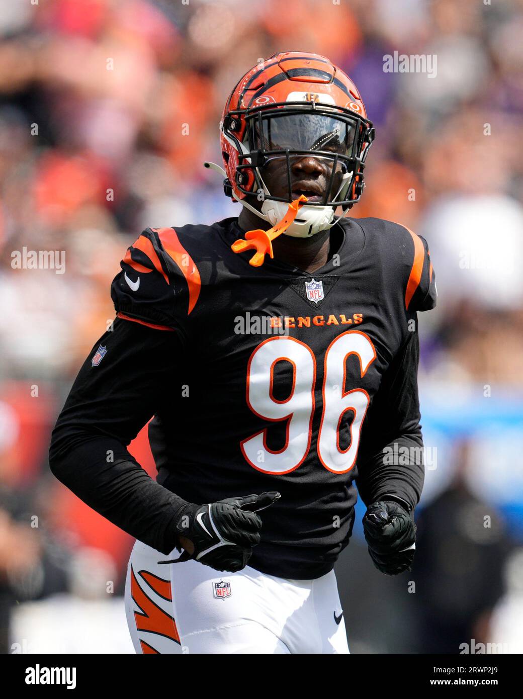 Cincinnati Bengals defensive end Cam Sample plays during an NFL ...