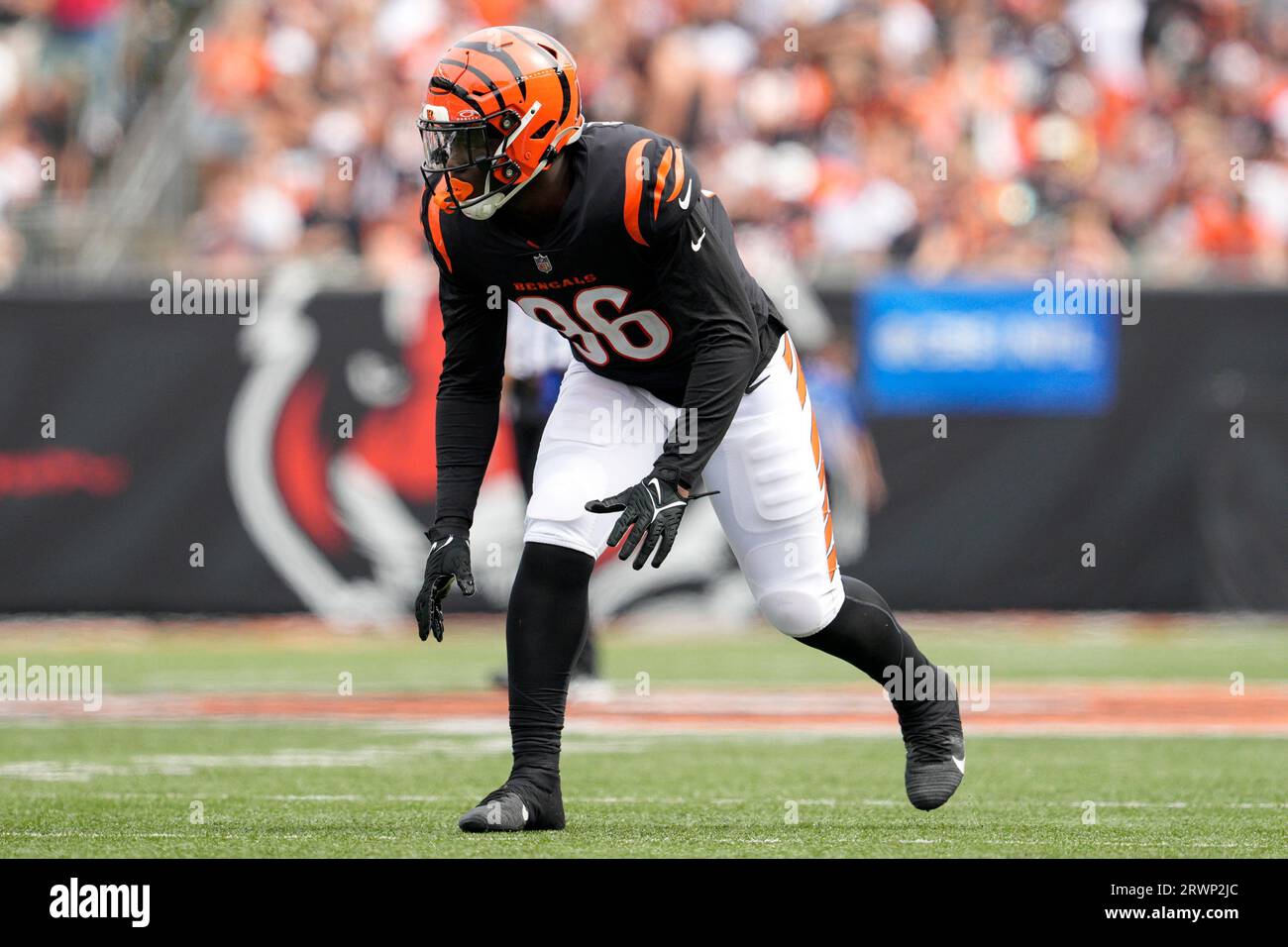 Cincinnati Bengals defensive end Cam Sample plays during an NFL ...