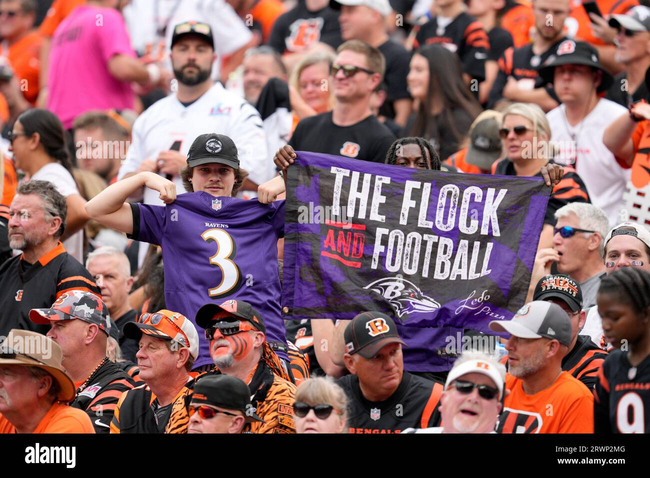 Baltimore Ravens fans cheer during an NFL football game against the ...