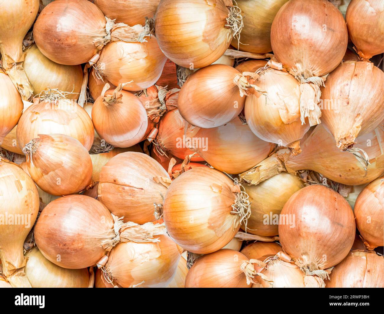 Pile of heads hi-res stock photography and images - Alamy
