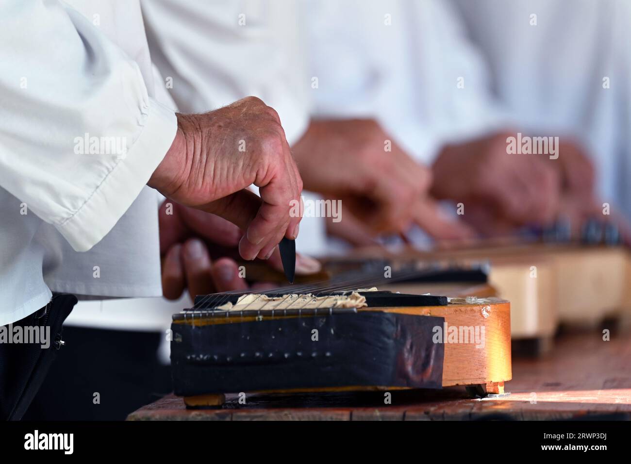 Zither instrument hi-res stock photography and images - Alamy