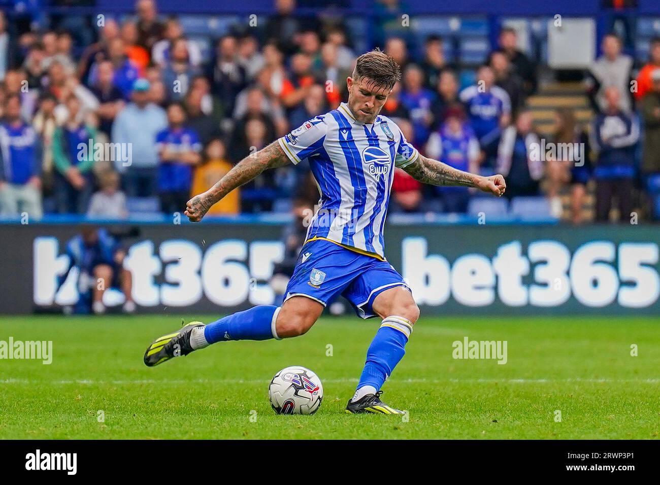 Sheffield, UK. 16th Sep, 2023. Sheffield Wednesday midfielder Josh ...