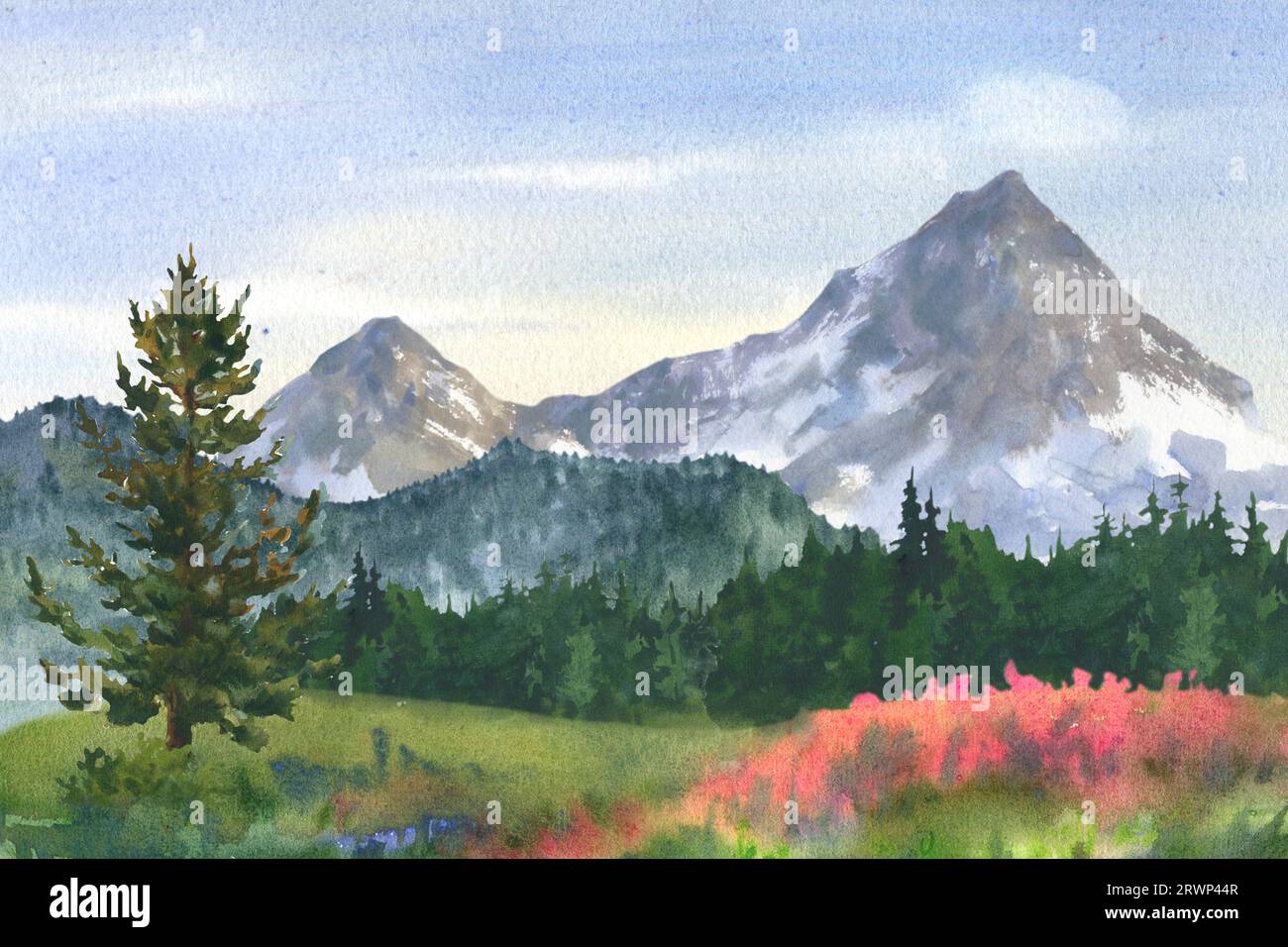 Forest landscape with mountain, flowers and trees. Hand drawn ...