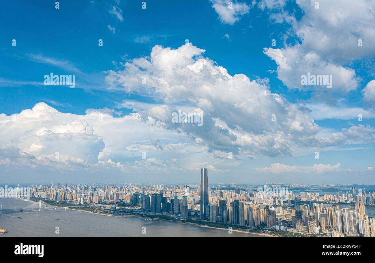 An aerial view of a vibrant metropolitan cityscape featuring a cluster ...