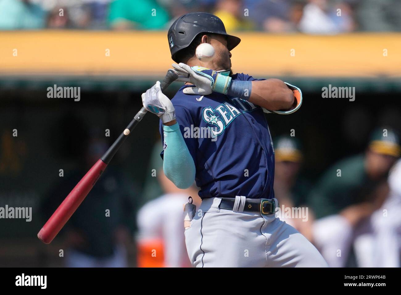 Seattle Mariners' Julio Rodriguez is hit by a pitch from Oakland ...