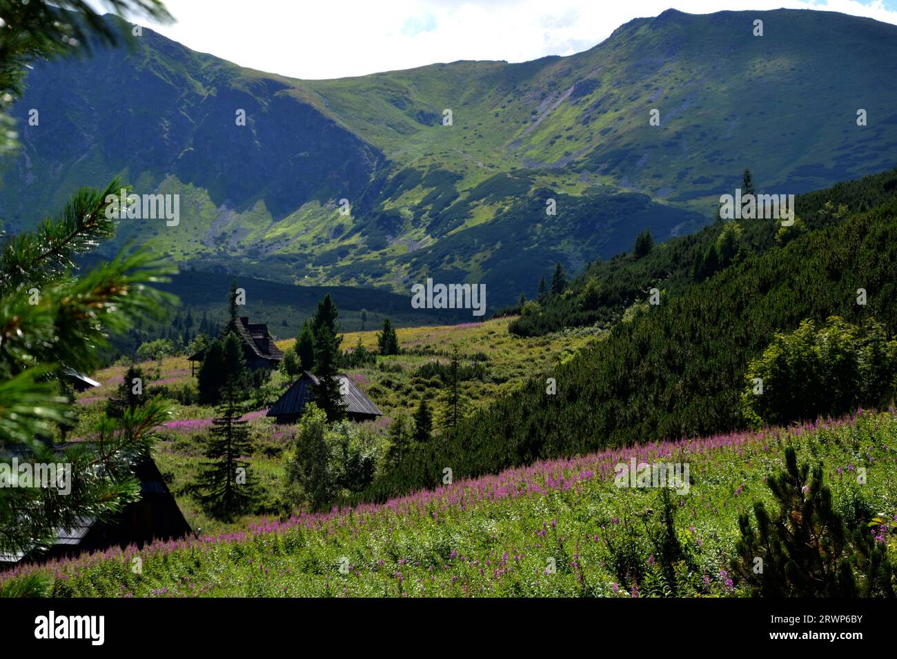 A wooden house in a valley in mountains near 'Schronisko Murowaniec ...