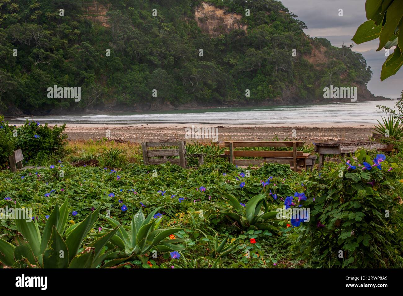 Crown range lookout hi-res stock photography and images - Alamy