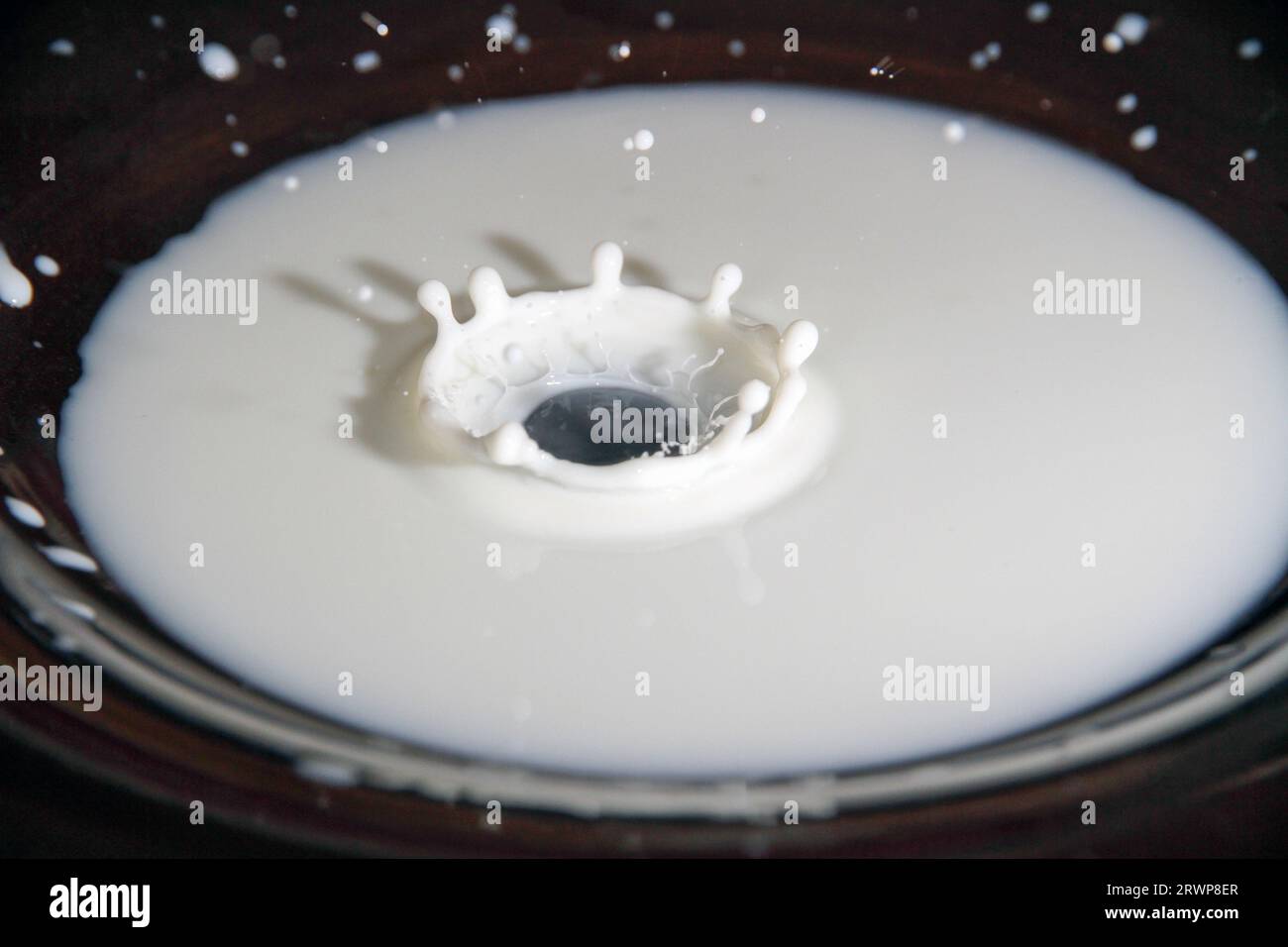 Single milk drop splashing in the bowl creating milk crown or coronet ...