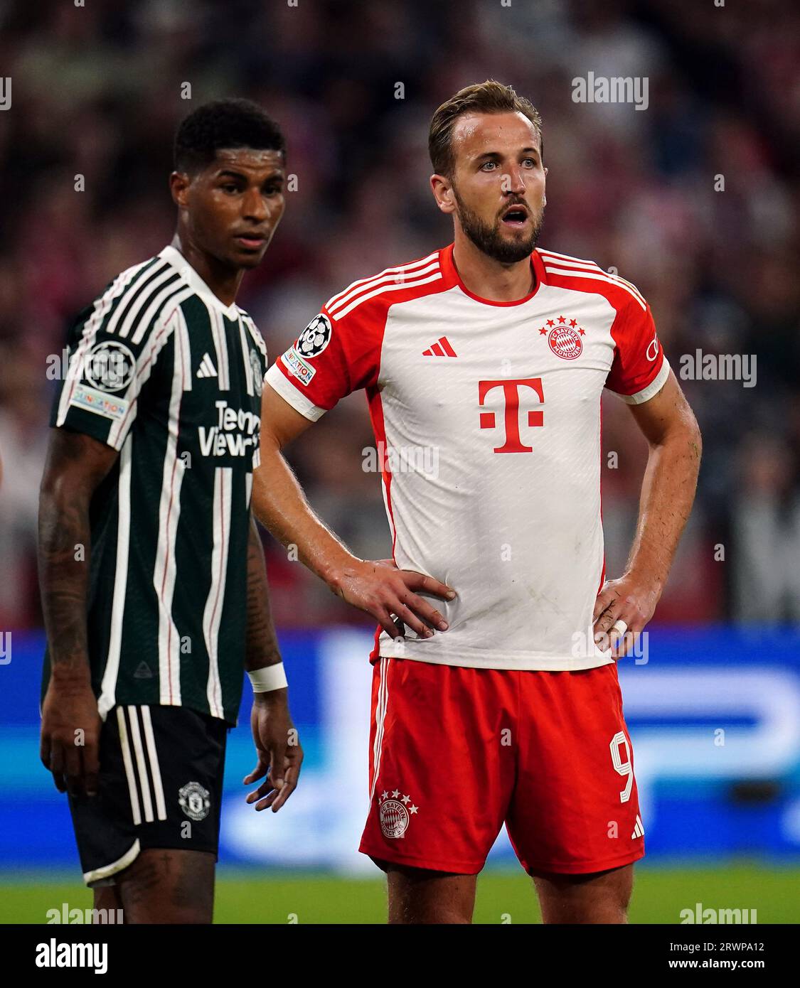 Bayern Munich's Harry Kane during the UEFA Champions League Group A ...