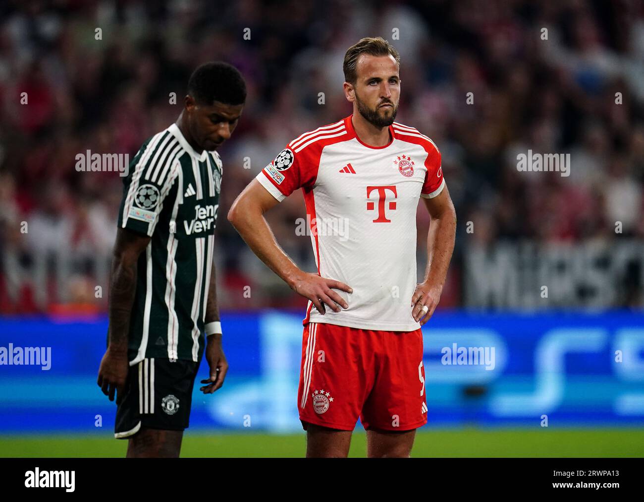 Bayern Munich's Harry Kane during the UEFA Champions League Group A ...