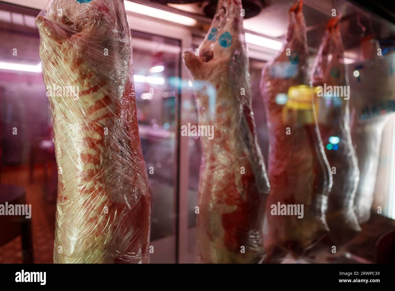 Pig carcasses in slaughterhouse hi-res stock photography and images - Alamy