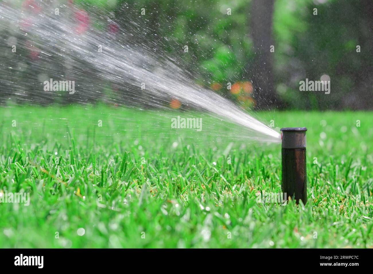 Lawn hydration hi-res stock photography and images - Alamy