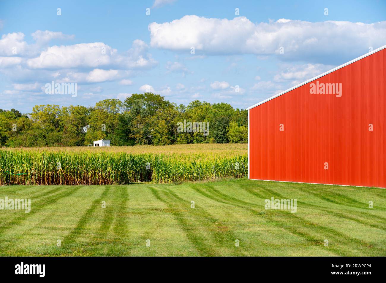 Wisconsin barn and field of corn on farm hi-res stock photography and ...
