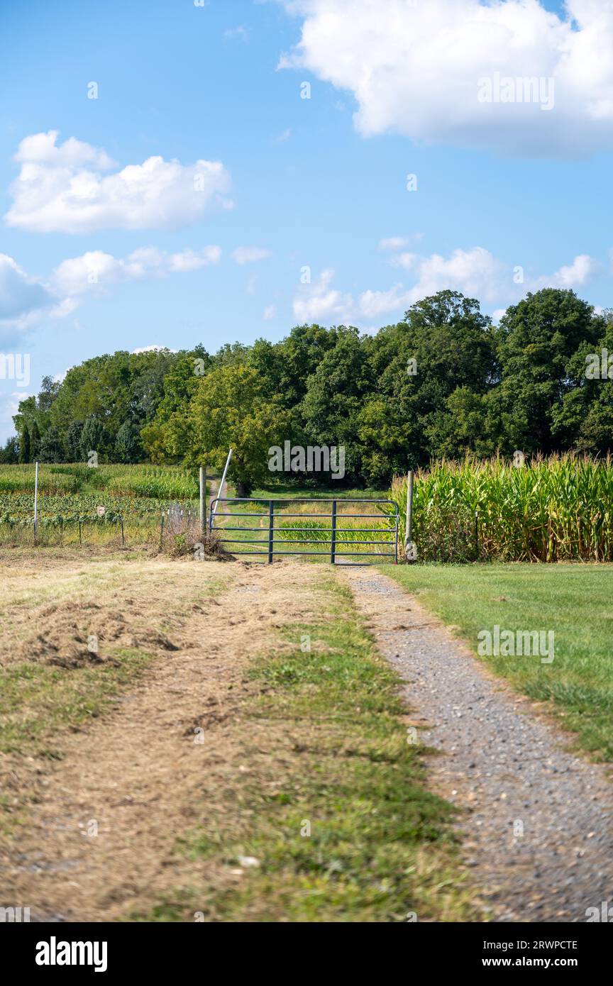 Trail leading to a gate hi-res stock photography and images - Alamy