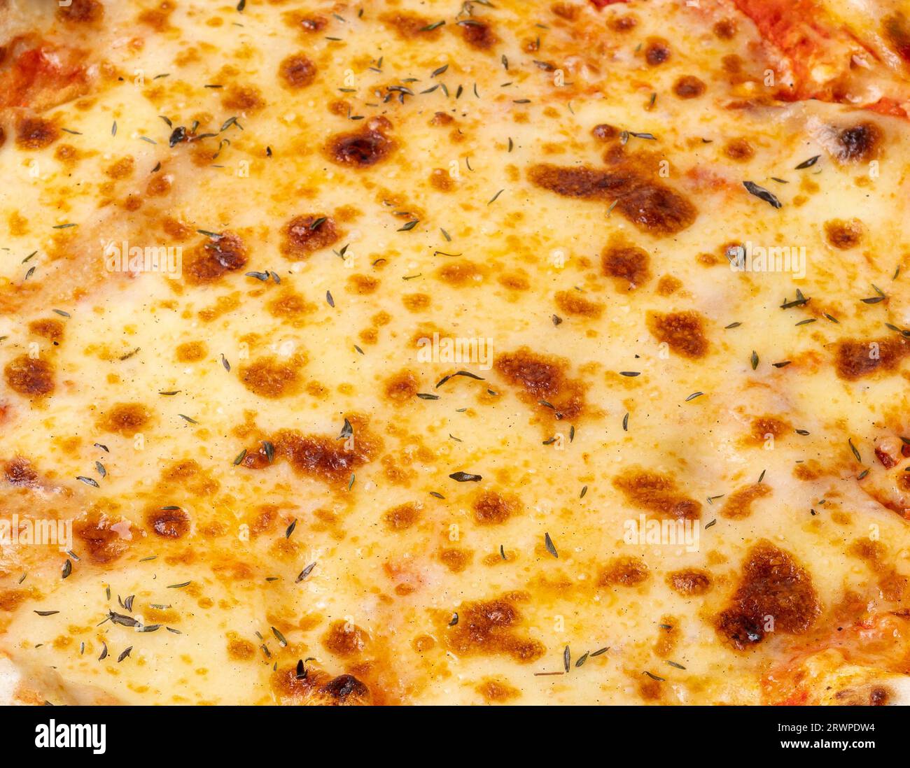 Closeup of mozzarella cheese style pizza Stock Photo - Alamy