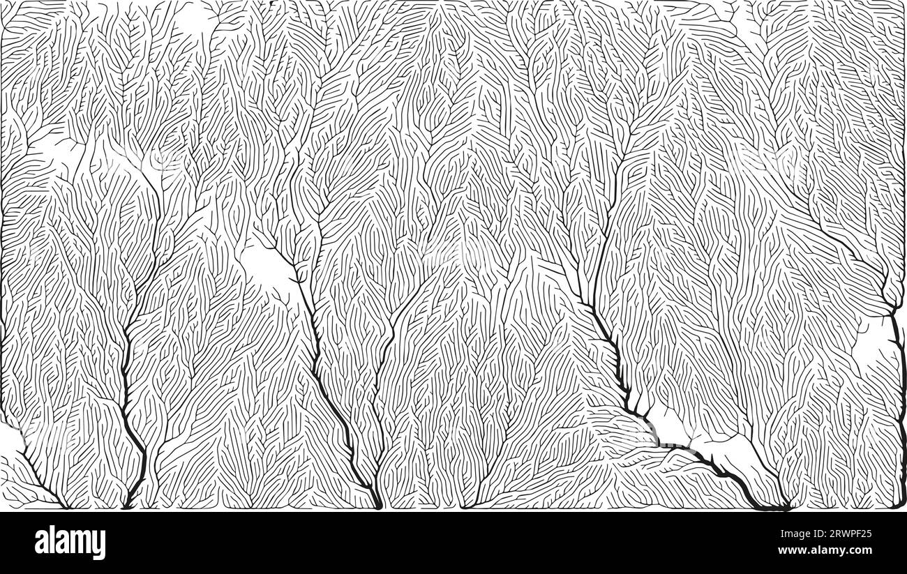 Growth pattern. Generative branching structure. Organic net of vessels ...