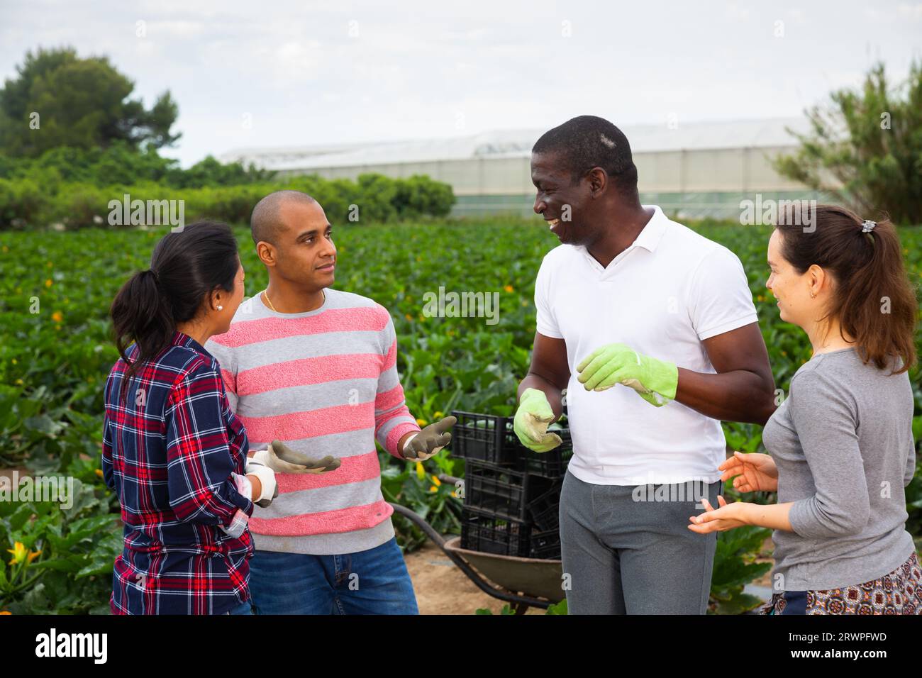 Conversation of farmers of different nationalities on field Stock Photo ...