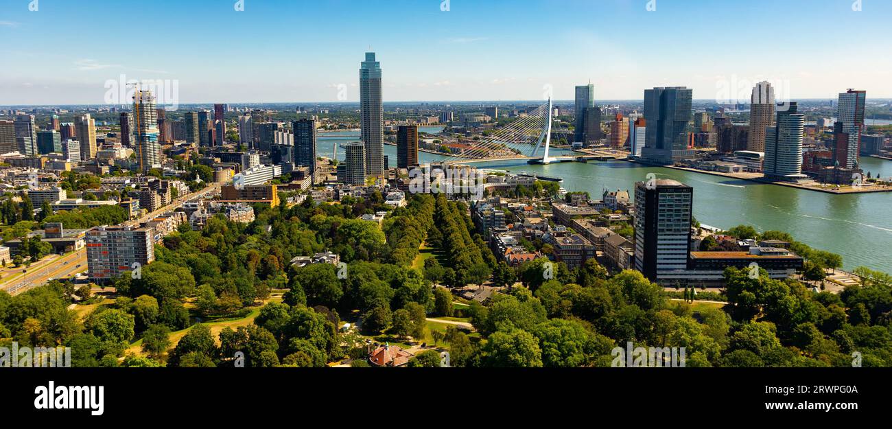 Aerial panorama of Rotterdam city and Erasmus bridge Stock Photo - Alamy