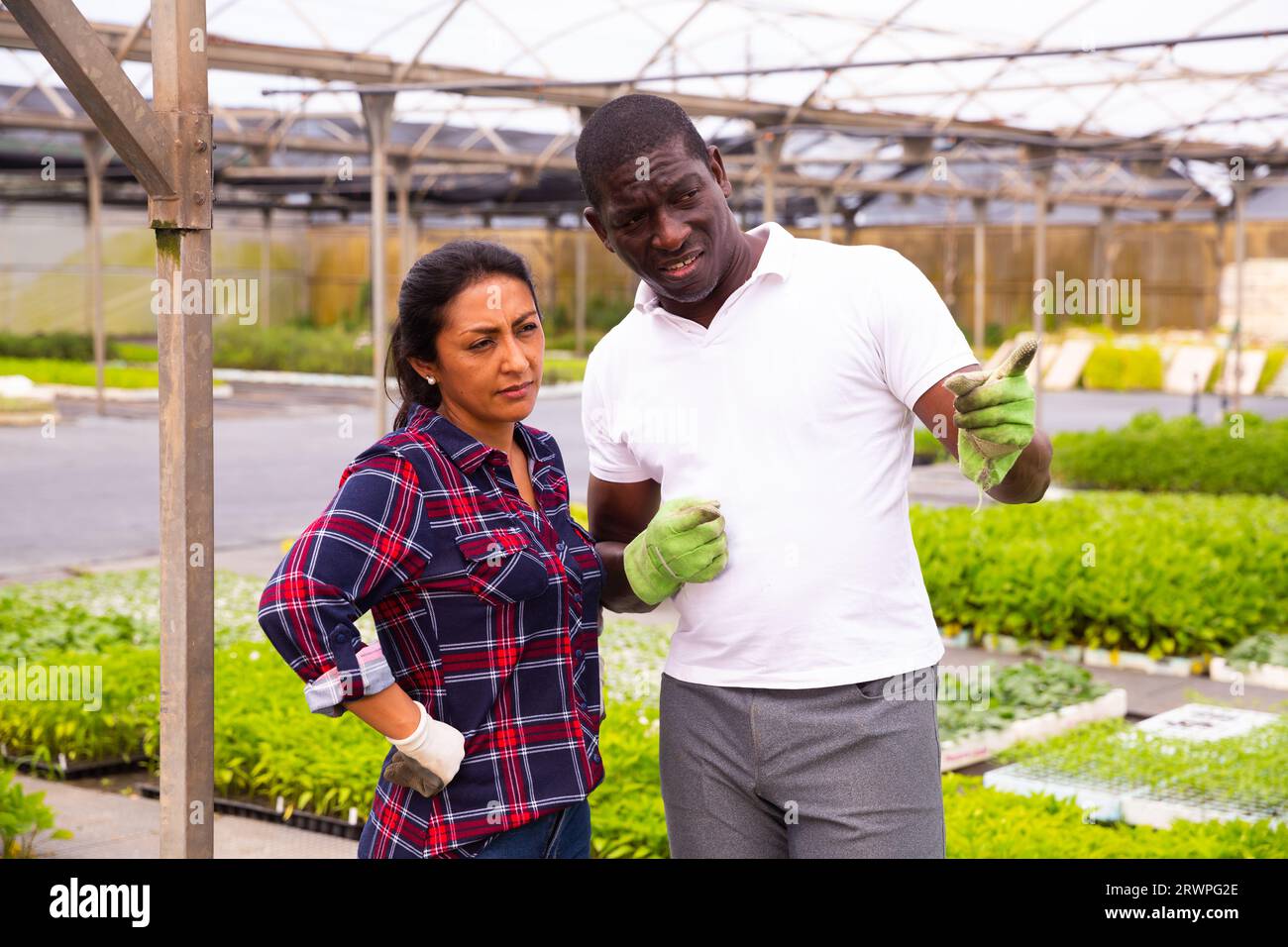 Conversation between two workers during break between work Stock Photo ...
