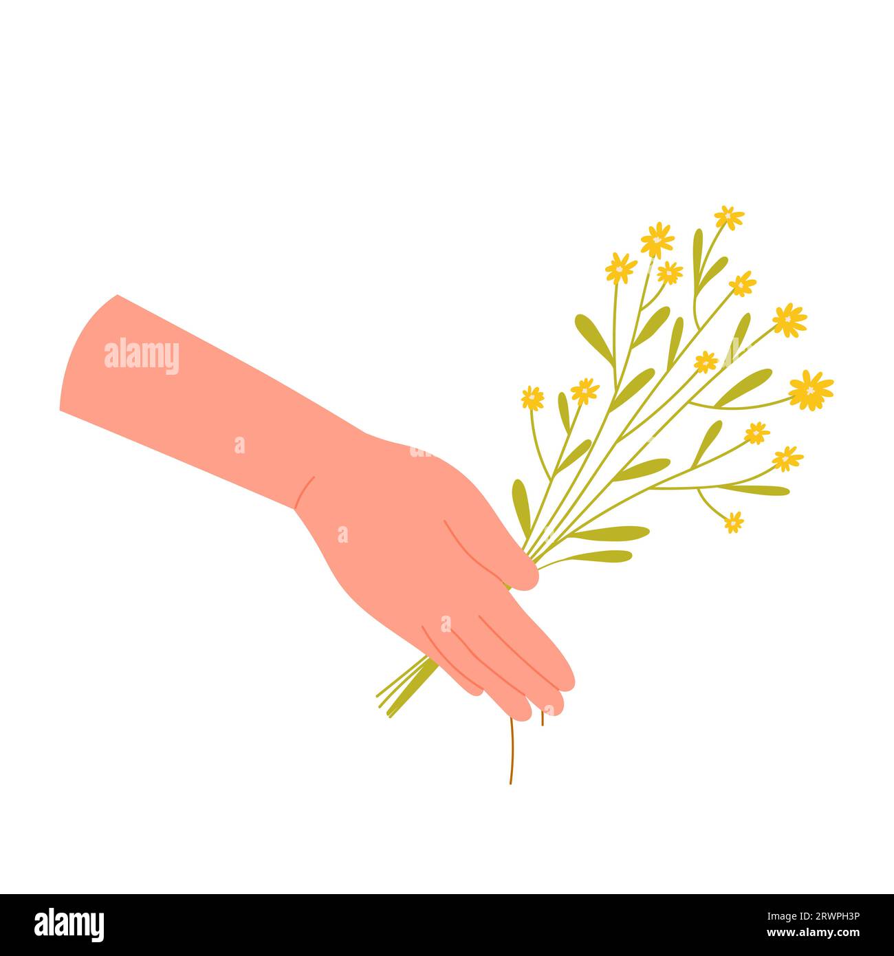 Human hand with wild flower branch. Floral gift, spring blooming plants ...