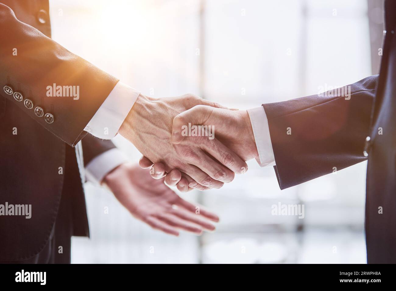 Hand shake man a in hallway for welcome, collaboration or business ...