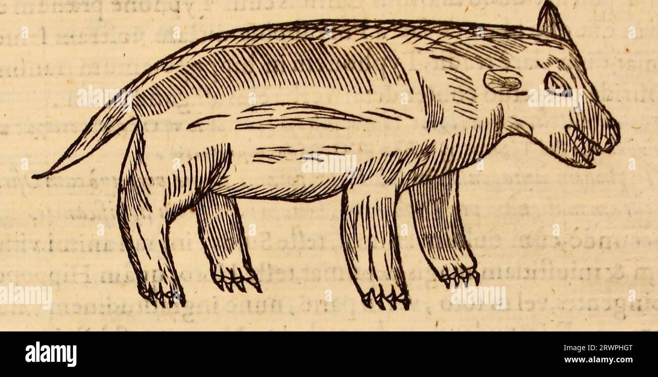 Athanasii Kircheri e Soc. Iesu obeliscus Pamphilius hoc est ...