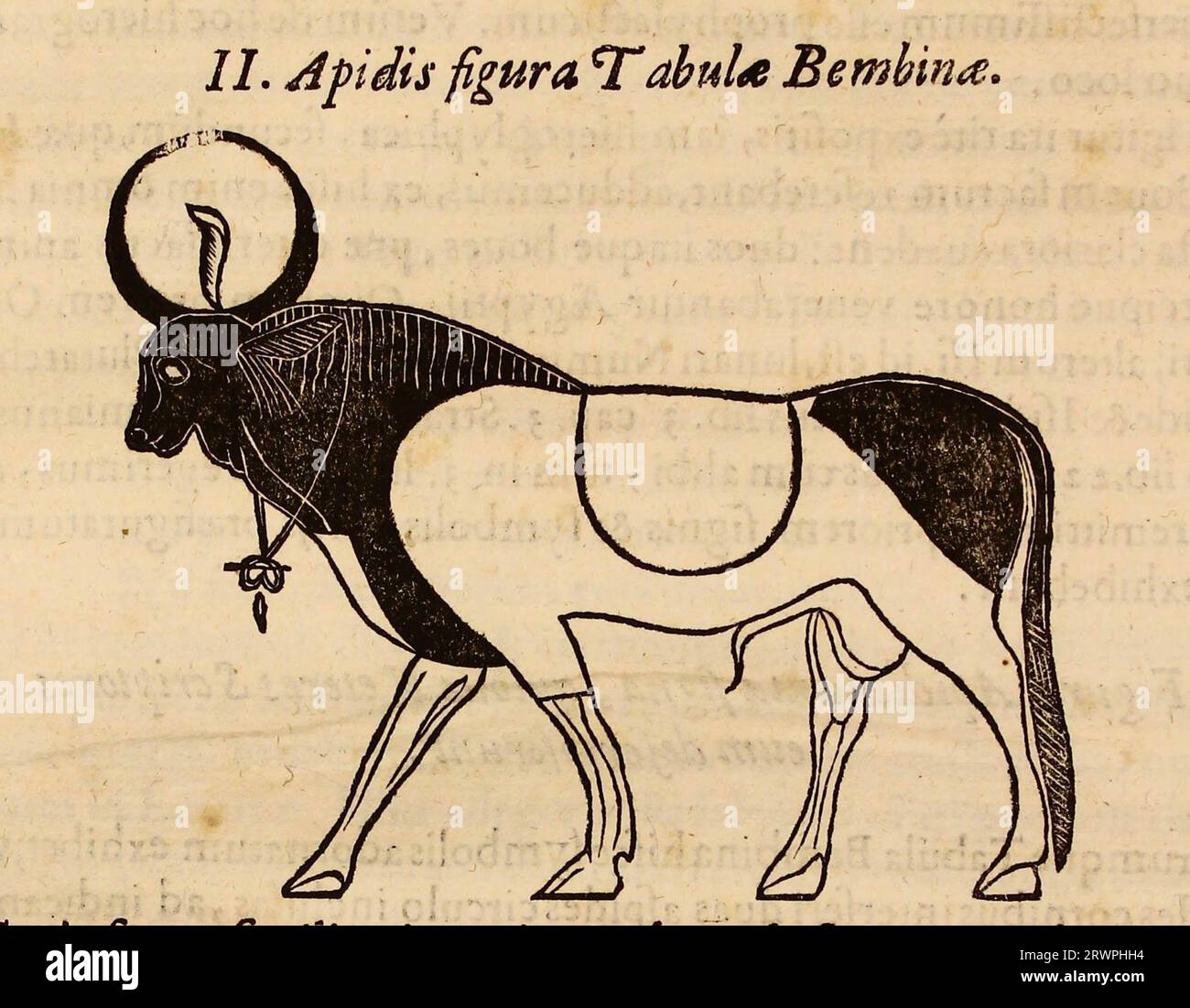 Athanasii Kircheri e Soc. Iesu obeliscus Pamphilius hoc est ...