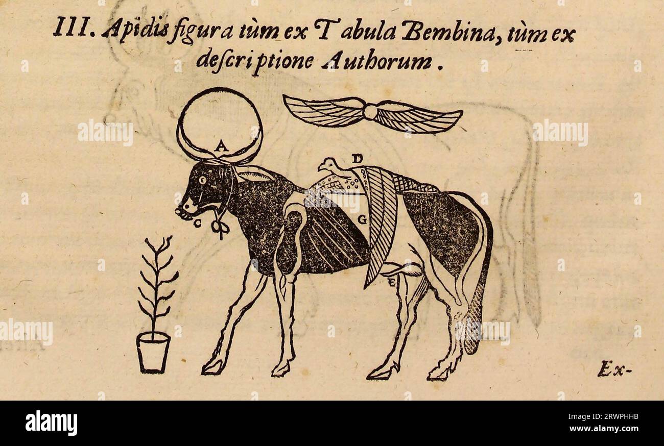 Athanasii Kircheri e Soc. Iesu obeliscus Pamphilius hoc est ...