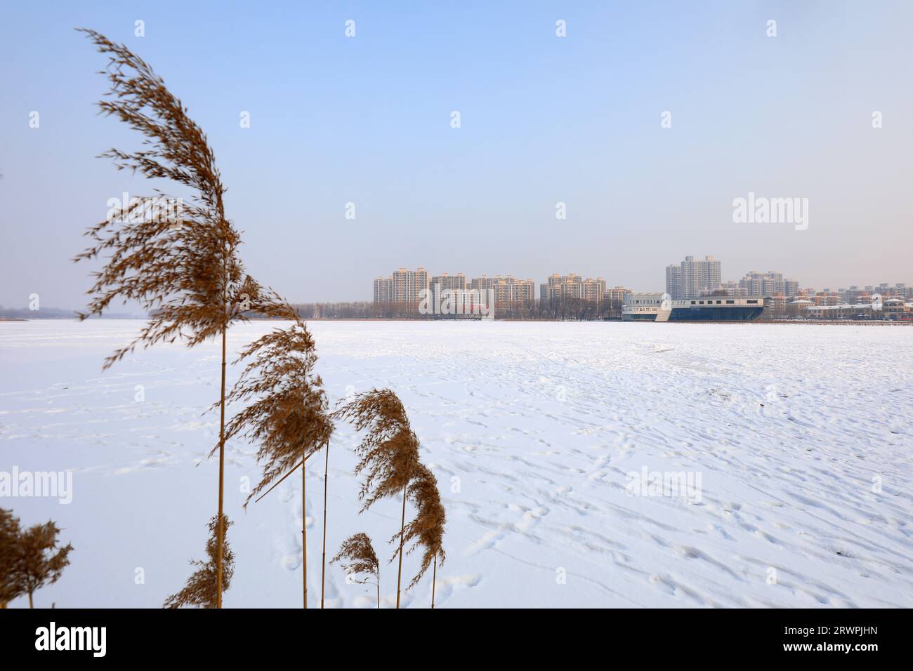 Waterfront City snow scenery, North China Stock Photo - Alamy