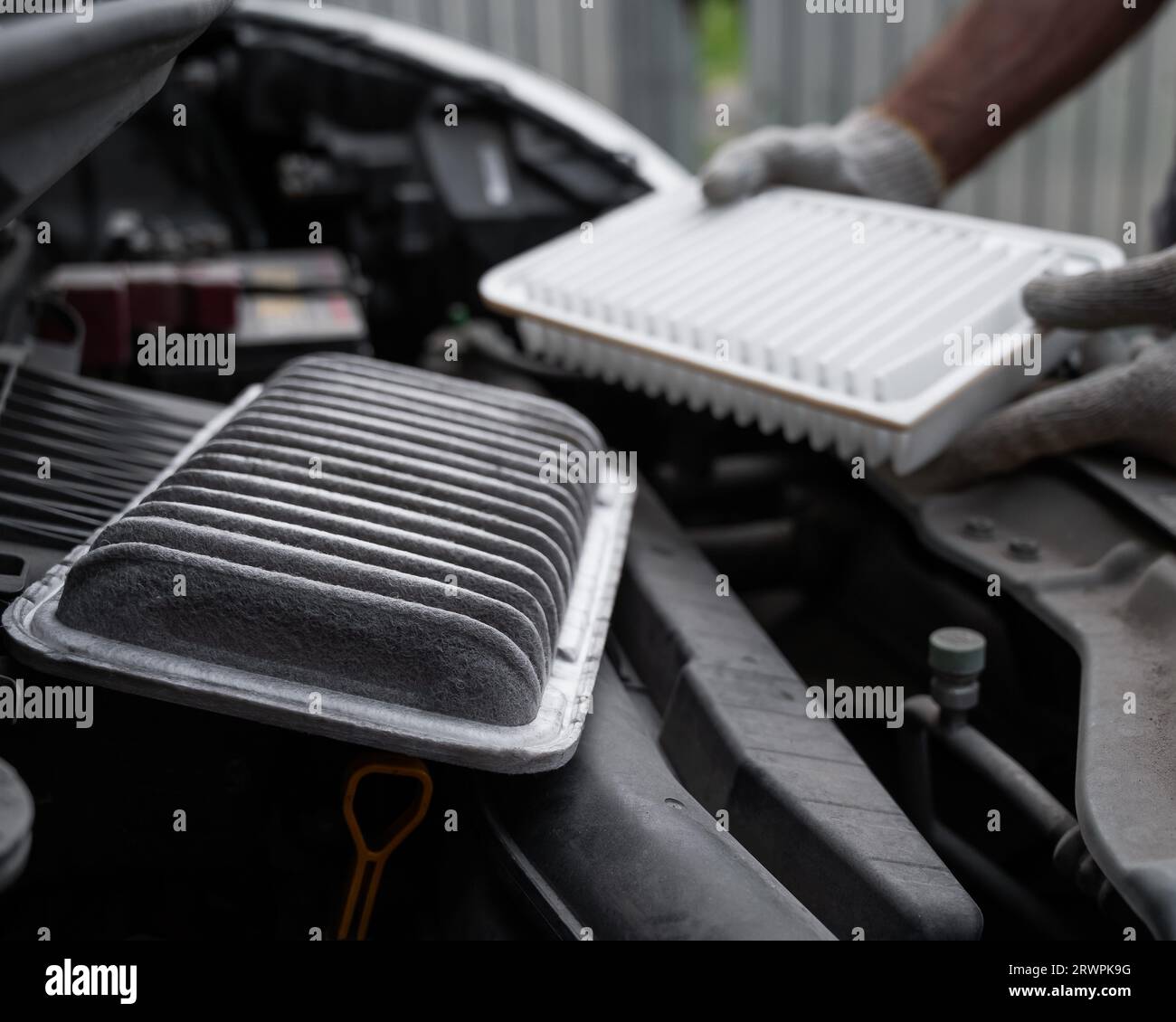 The master changes the air filter in the car engine Stock Photo - Alamy