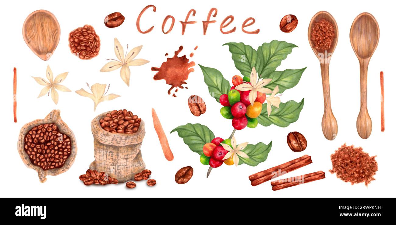 Collection of elements of Robusta and Arabica varieties. International ...