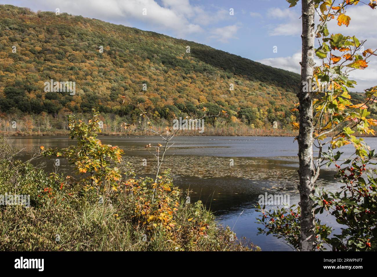 Unique area hi-res stock photography and images - Alamy