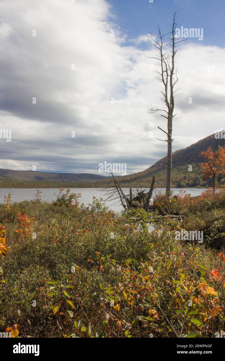 Unique area hi-res stock photography and images - Alamy