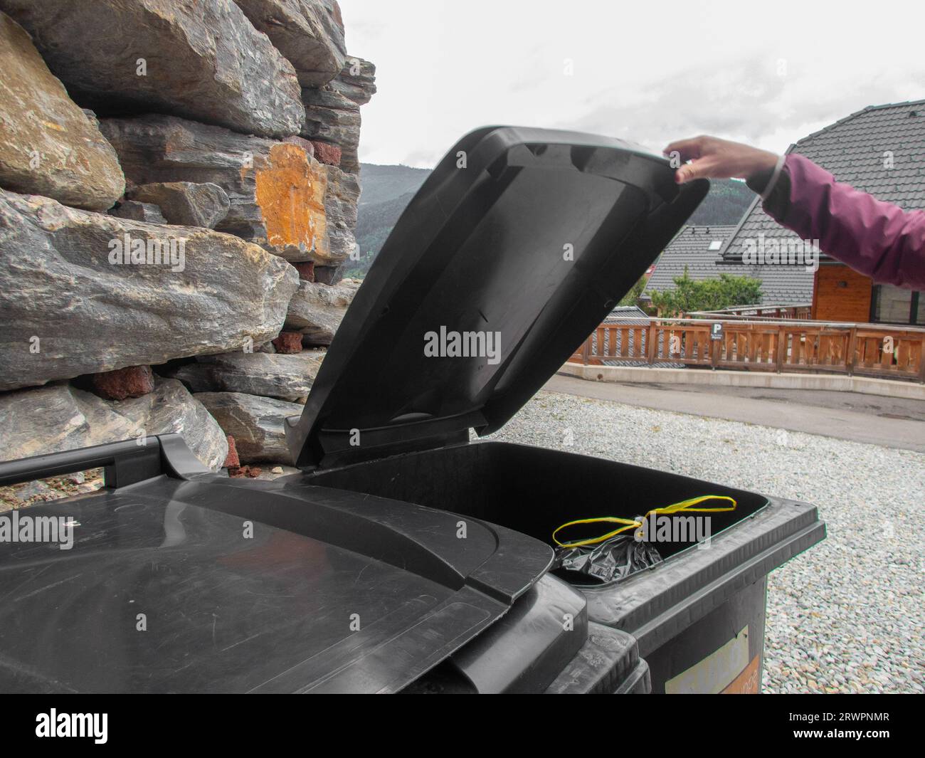 bag of garbage into a plastic trash bin. Garbage in a black plastic bag ...