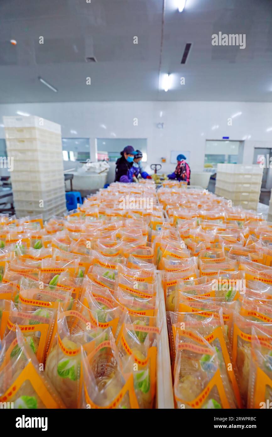 LUANNAN COUNTY, China - February 18, 2022: workers work hard on the ...