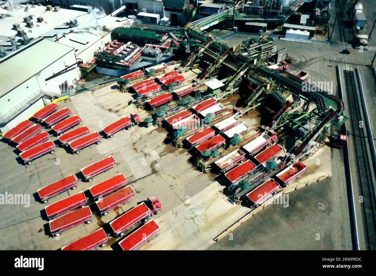 Modesto, California, USA. 20th Sep, 2023. Tomato harvest is in full ...
