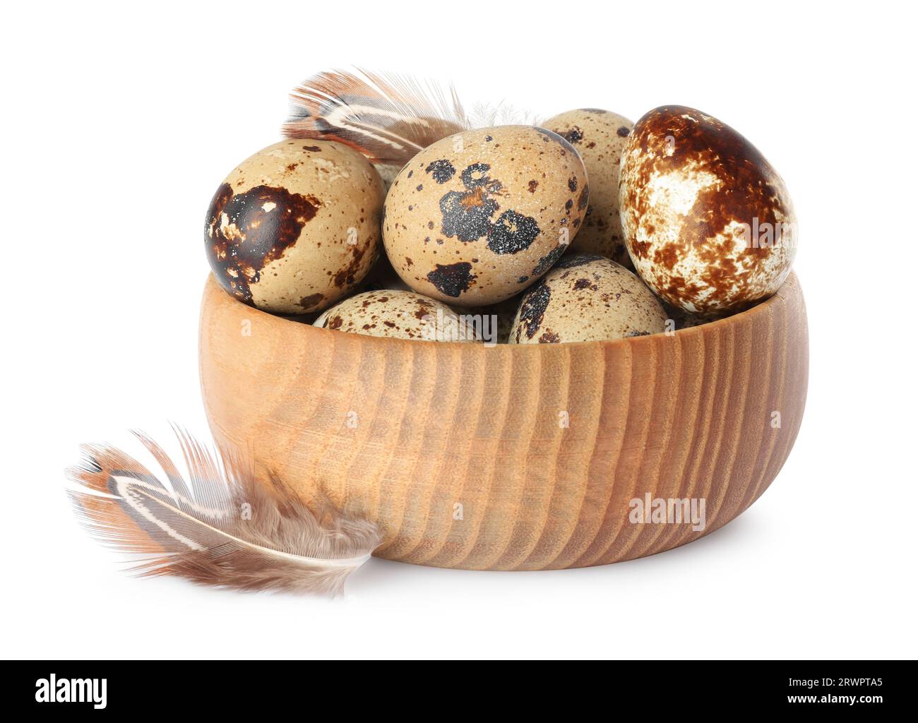 Bowl with speckled quail eggs and feathers isolated on white Stock ...