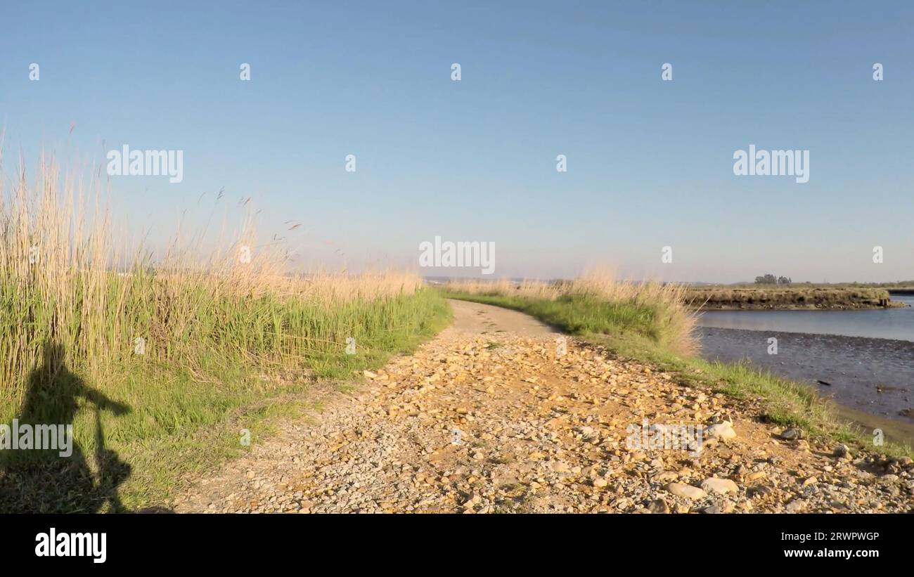 Point of view shot of riding a bicycle in Estarreja, Portugal. Features a wide view of the bike ...