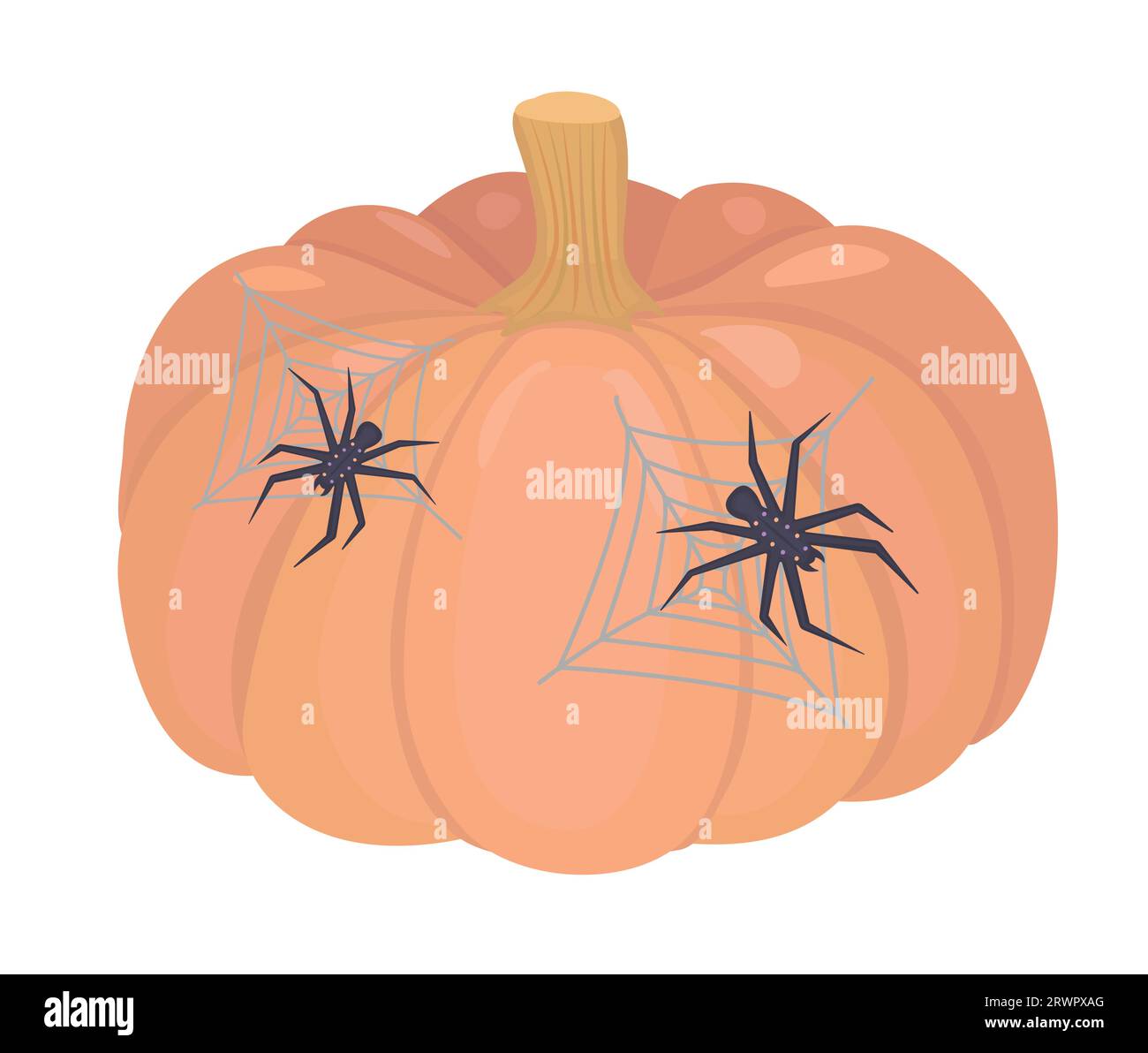 Halloween pumpkin with two black spiders, vector color illustration ...