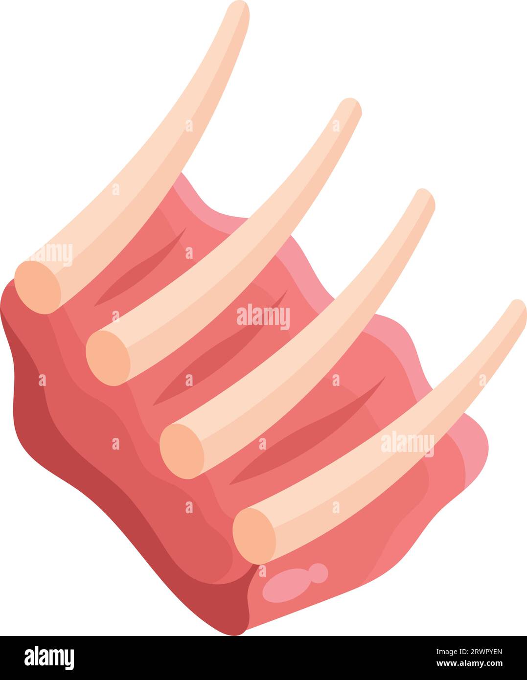 meat product ribs vector isolated Stock Vector Image & Art - Alamy